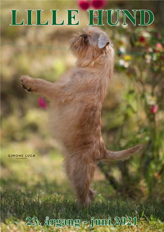 Klubblad - www.canis-minor.dk