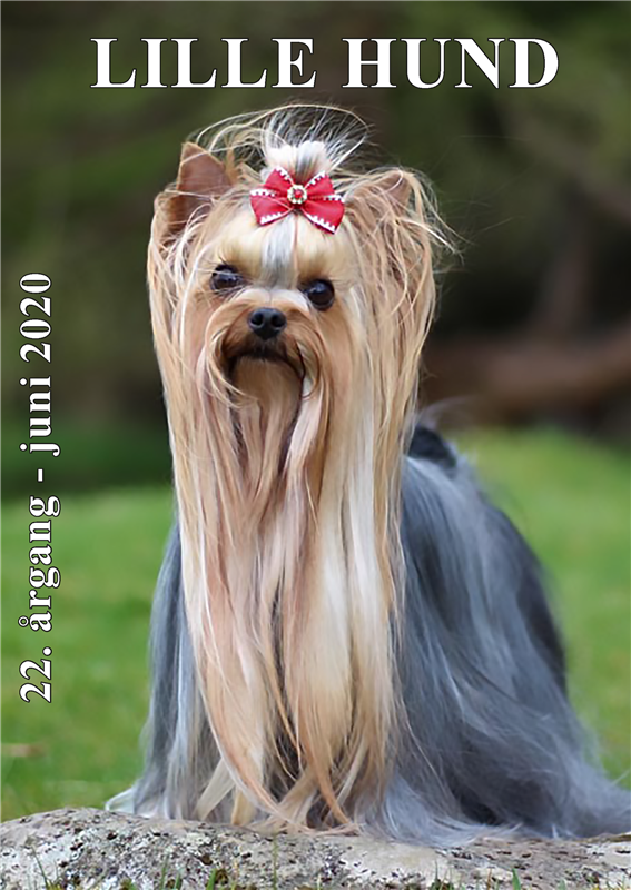 Klubblad - www.canis-minor.dk