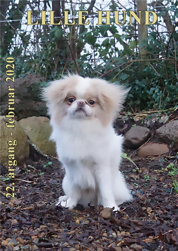 Klubblad - www.canis-minor.dk